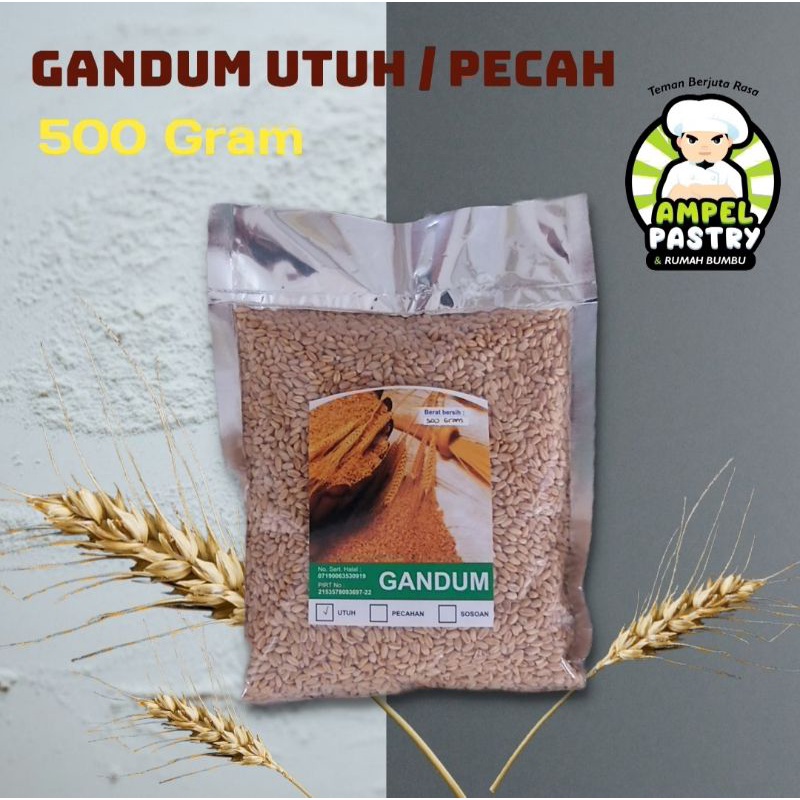 Jual Gandum Utuh & Pecah 500 Gram | Shopee Indonesia