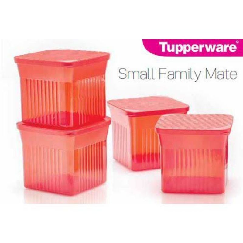 Jual small family mate tupperware | Shopee Indonesia