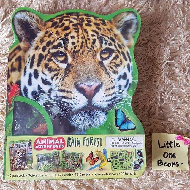 Jual Animal adventures : Rain Forest / buku rainforest / book set anak ...