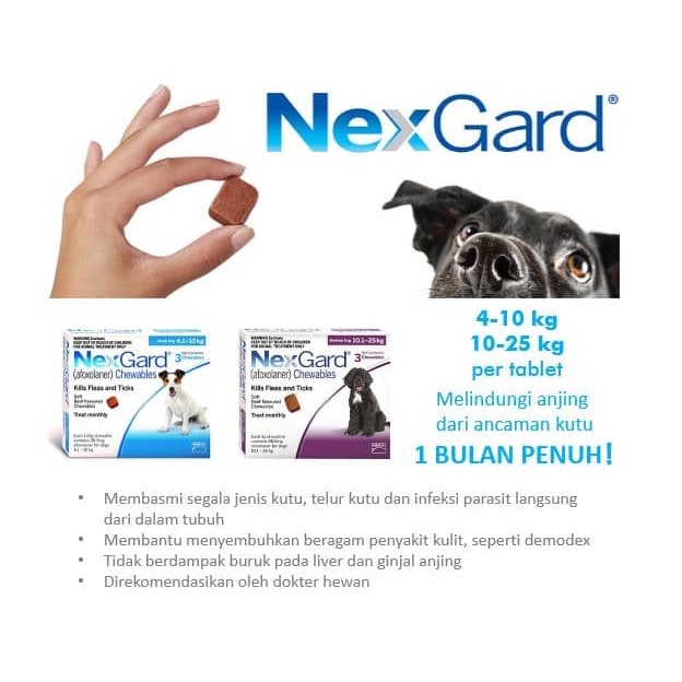 Jual OBAT KUTU ANJING AMPUH, NEXGARD, 4-10 KG DAN 10-25 KG (HARGA SAMA) | Shopee Indonesia