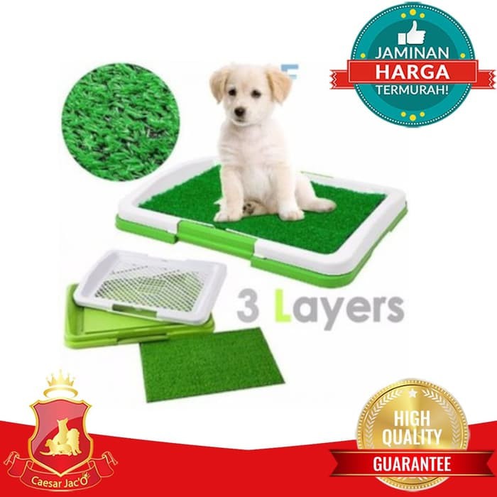 Jual Tatakan Poop Pee Potty Tray + Rumput Pet Toilet Anjing Kucing ...