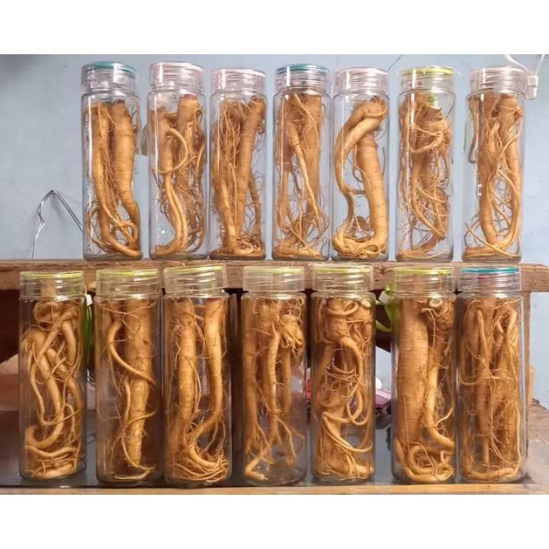 Jual Ginseng Merah Korea + Botol (COD) | Shopee Indonesia