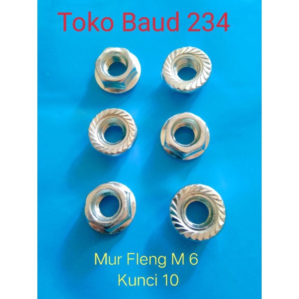 Jual Mur Flange M 6 Kunci 10 ( mur bibir ) | Shopee Indonesia