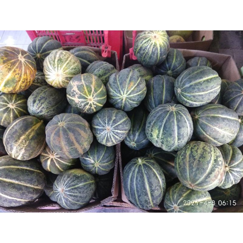 Jual buah blewah | Shopee Indonesia