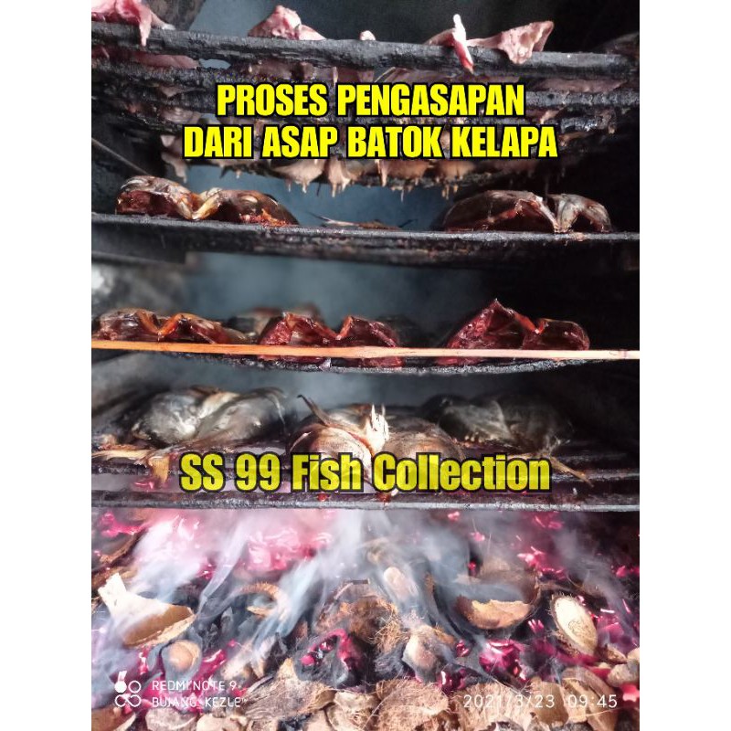Jual Cakalang fufu / cakalang asap | Shopee Indonesia