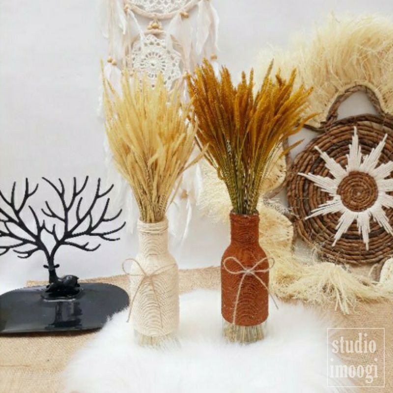 Jual BUNGA ASONG 1 ikat kecil isi 13-16tangkai | Shopee Indonesia