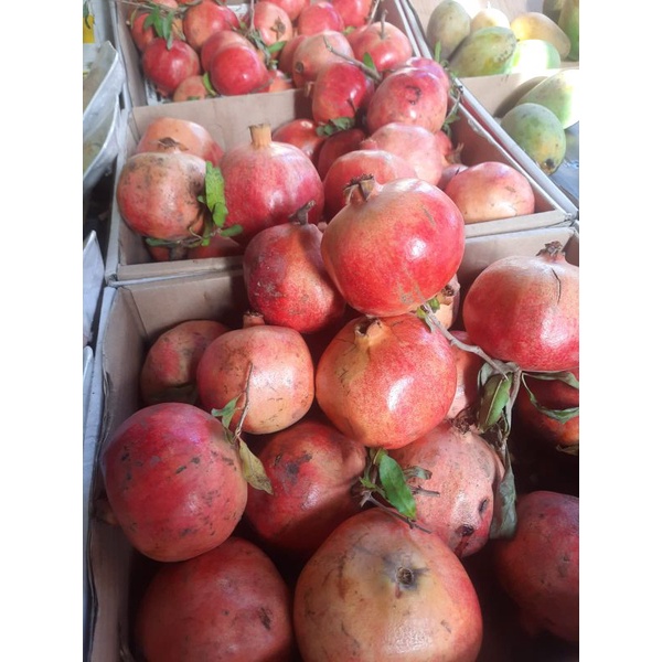 Jual Delima merah 1kg | Shopee Indonesia