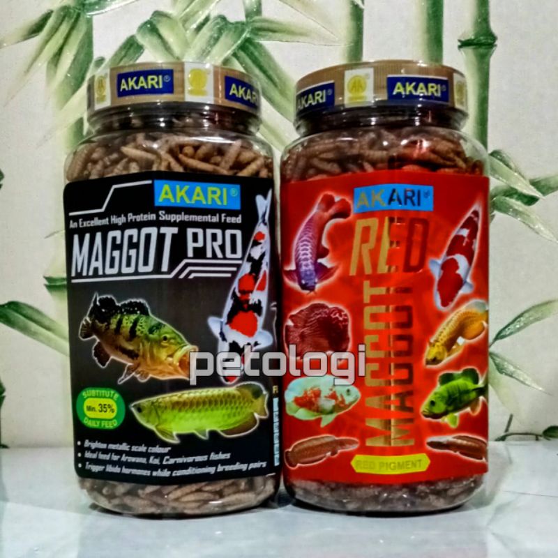 Jual Akari Red Maggot Pro 130 gram, Pakan Arwana, Koi, Louhan dan ...