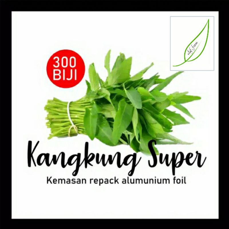 Jual bibit kangkung | benih kangkung | kangkung super | sayuran ... Jual bibit kangkung | benih kangkung | kangkung super | sayuran ...