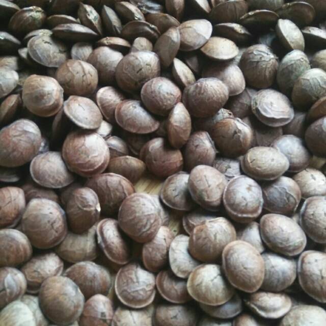 Jual Kacang SACHA INCHI 1kg | Shopee Indonesia