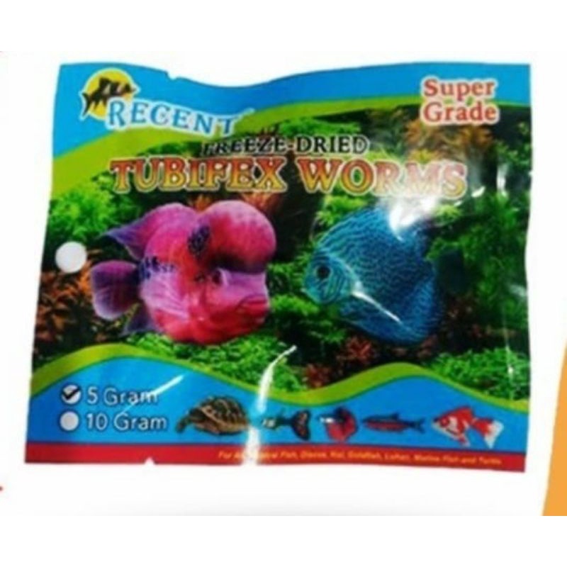 Jual Cacing kering Tubifex Worm 5 gram Pakan Ikan Cacing Kering ...