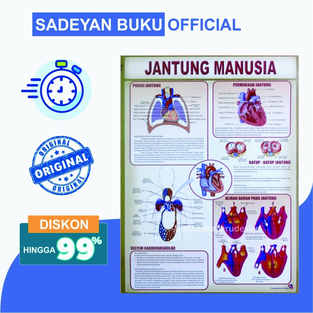 Jual Poster Lembaran Seri Organ Manusia Jantung Manusia Warna - Pustaka ...