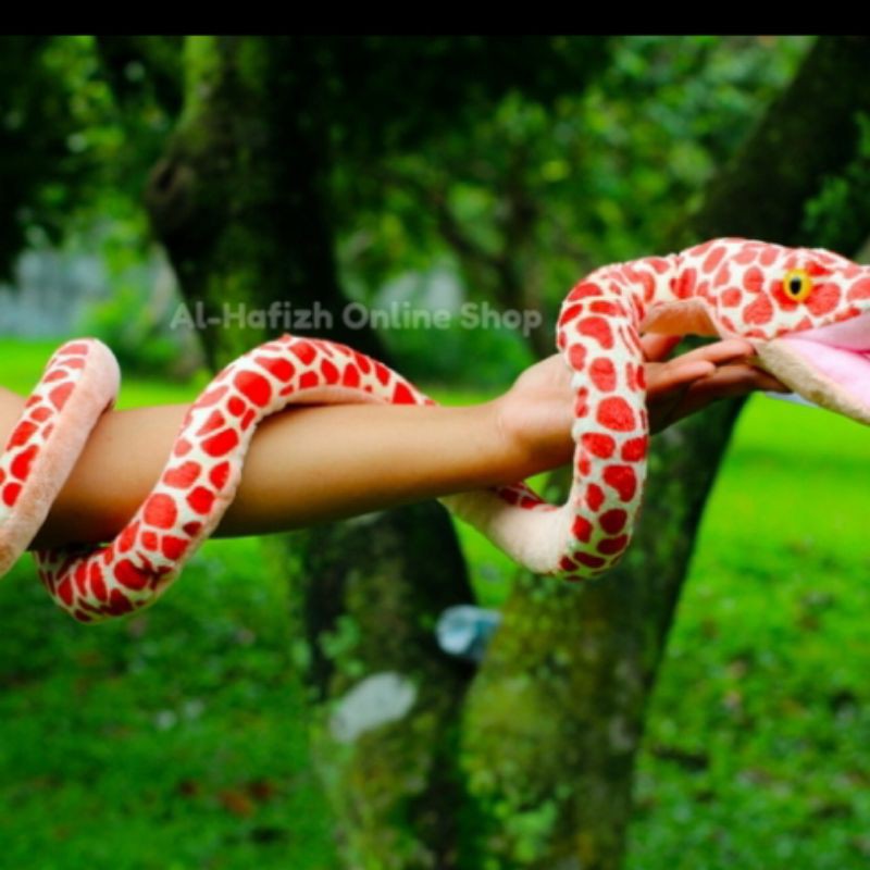 Jual Boneka ular anaconda | Shopee Indonesia