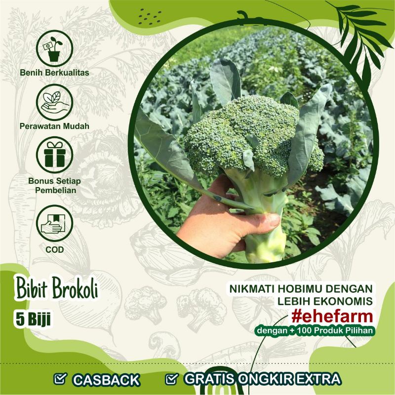 Jual Benih Sayuran Brokoli Hijau Sakata Green Magic F1 Unggul - Bibit Sayur | Shopee Indonesia