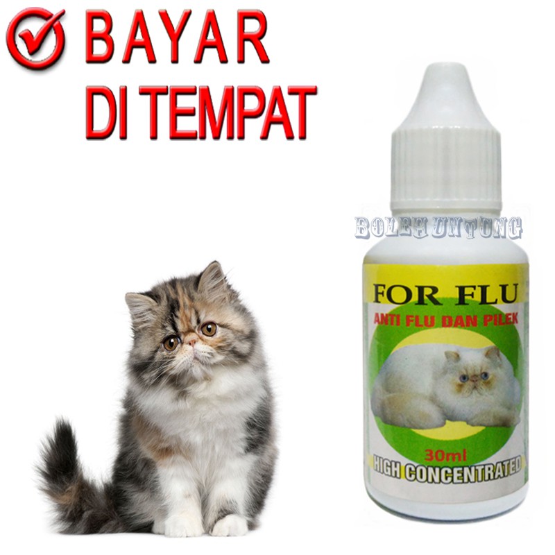 Jual FOR FLU CAT OBAT FLU KUCING PILEK BERSIN HIDUNG BERAIR SAKIT ...
