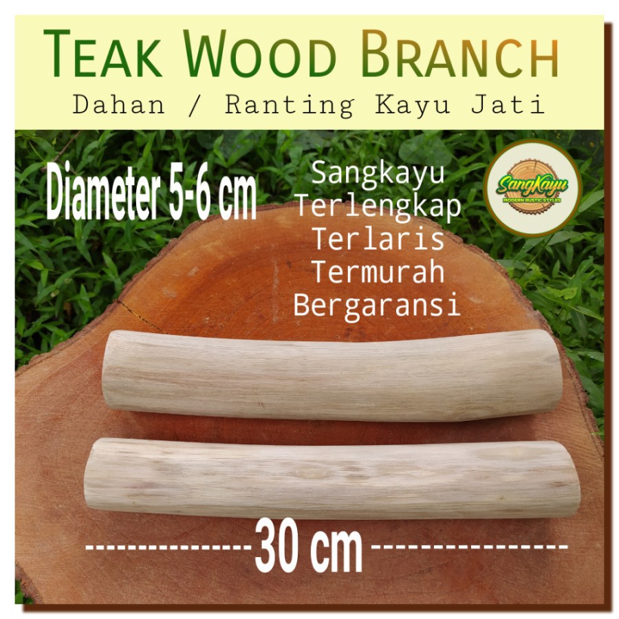 Jual SangKayu Dahan Ranting Kayu Jati 5-6-30 cm Teak Wood Branch ...