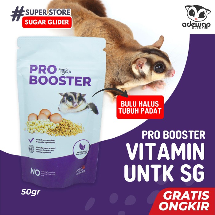 Jual hewan-susu- pro booster 50 gram / nutrisi protein sugar glider ...