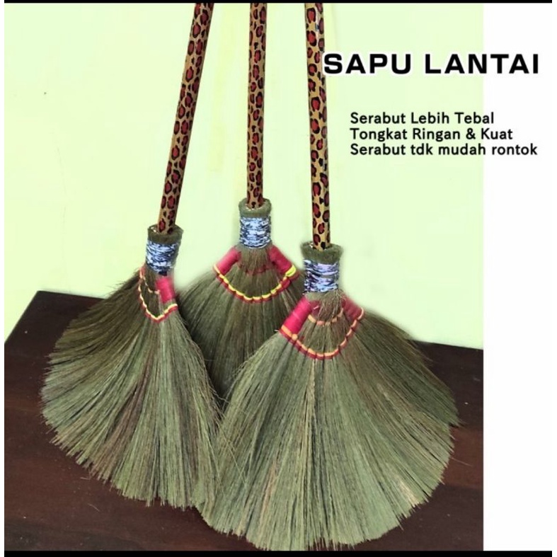 Jual Sapu Lantai Rayung Pembersih Debu Lantai Alami Murah | Shopee ...