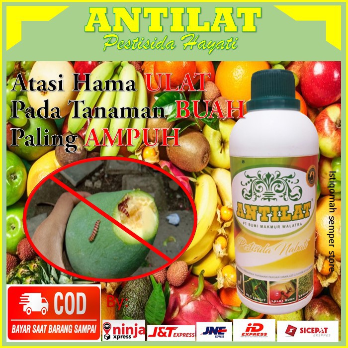 Jual Obat Hama ULAT Paling AMPUH - ANTILAT pestisida Nabati Mampu Atasi ...