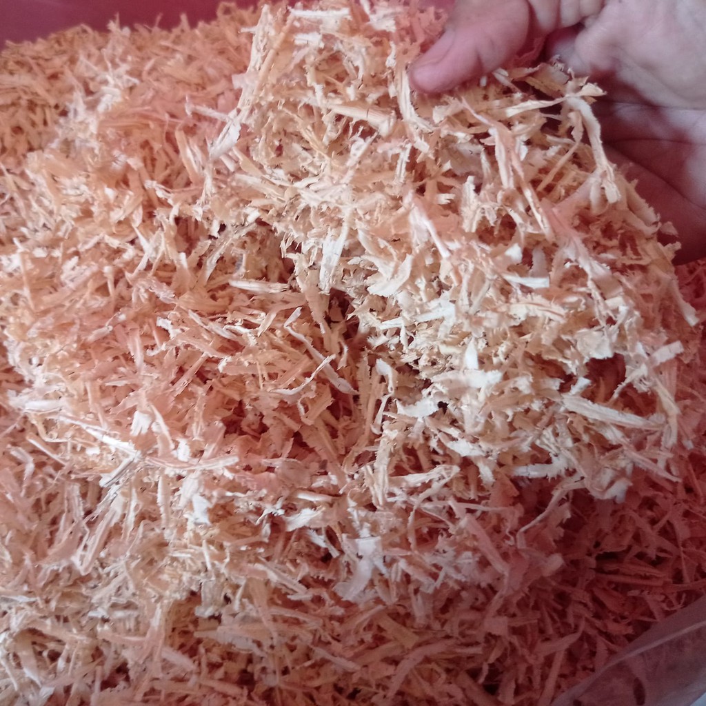 Jual Serbuk kayu Pinus untuk media tanaman. | Shopee Indonesia