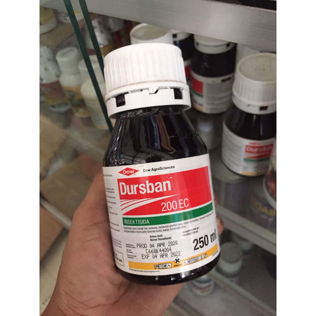 Jual DURSBAN 200 EC 250 ML INSEKTISIDA KEMASAN PABRIK | Shopee Indonesia