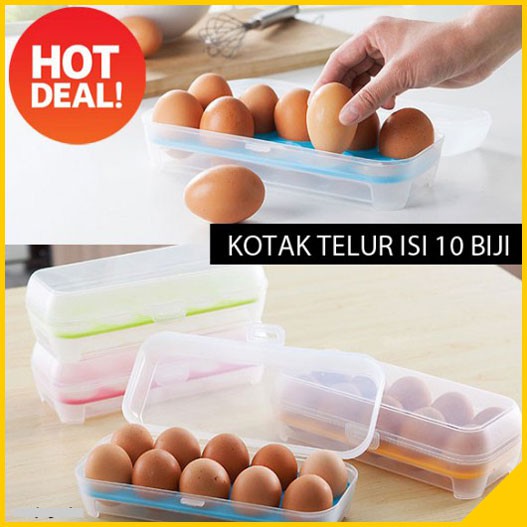 Jual Tempat Box Telur 10 Sekat (Kotak dengan sekat khusus Telor ...