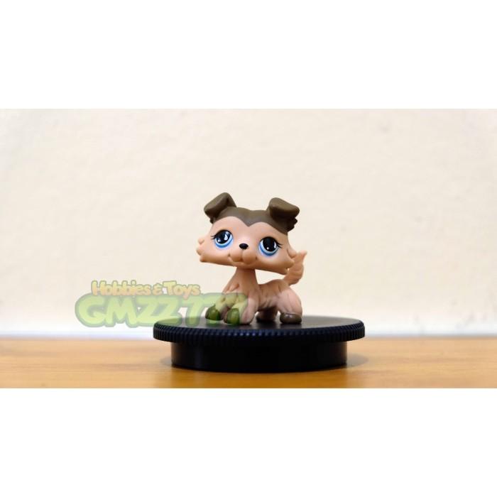 Jual Toys Lps Littlest Pet Shop Collie #893 Mainan Anak Perempuan ...