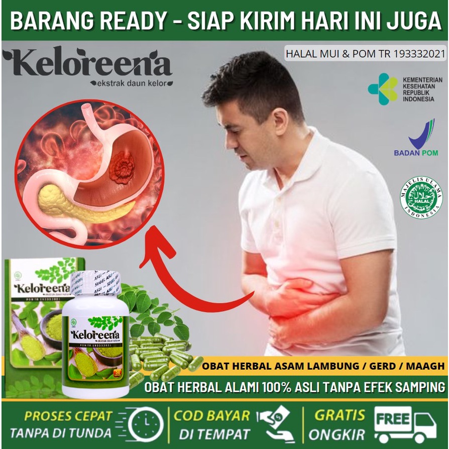Jual Obat Infeksi Lambung, Tukak / Borok di Lambung, Obat Herbal ...