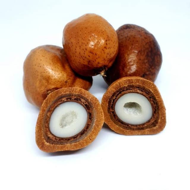 Jual Buah Zuriat Zuriyat Buah Adam Hawa Asli Original 100% Buah Zuriat ...