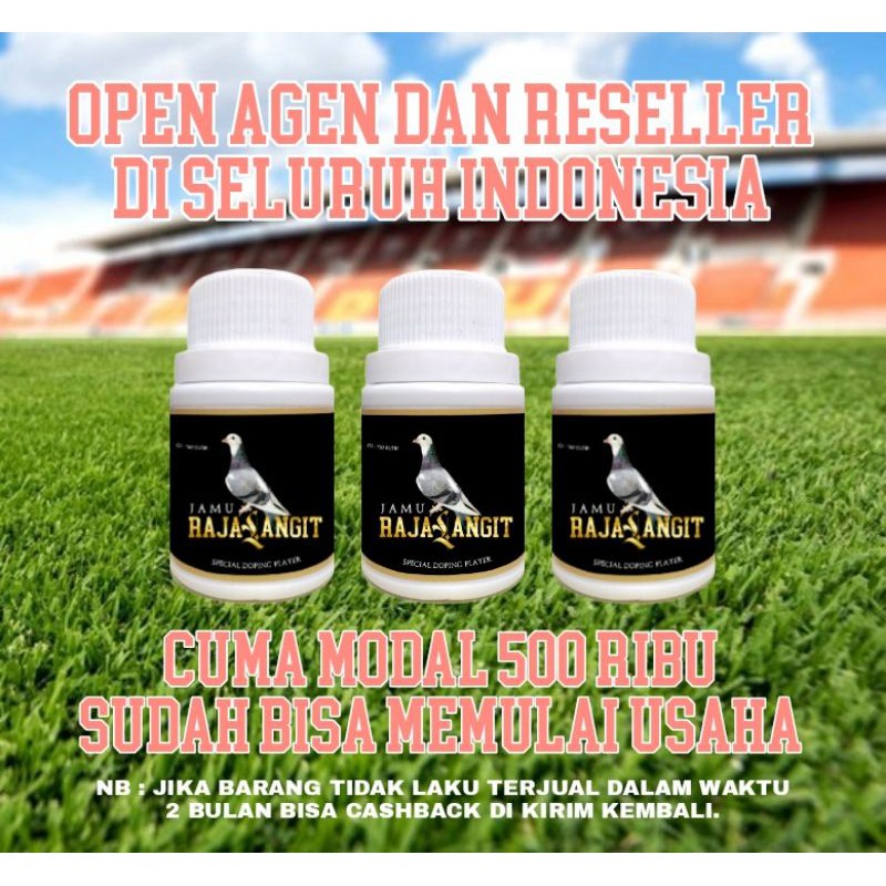 Jual CUMA MODAL 500 RIBU DAPAT 15 BOTOL JAMU | Shopee Indonesia