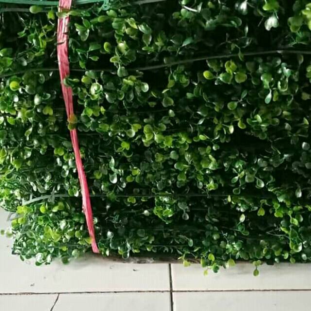 Jual PROMO || Rumput sintetis dolar hiasan dinding paket 1 lusin isi 12 ...