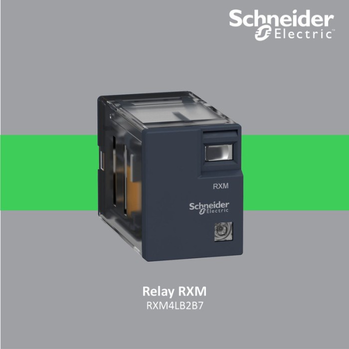 Jual Zelio RXM Relay 3A 4 C/O WITH LED 24VAC - RXM4LB2B7 | Shopee Indonesia