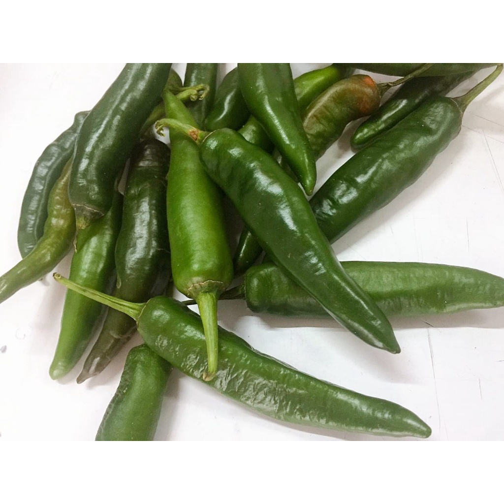 Jual Cabe Hijau Ijo Besar - Tanjung Hijau | Shopee Indonesia