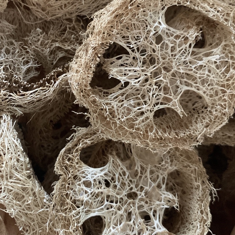 Jual Loofah | Chew Toys | Gigitan Hamster | Shopee Indonesia