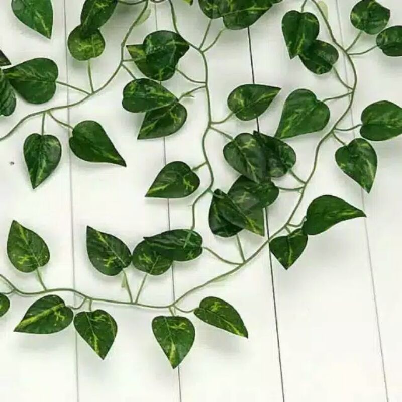 Jual Tanaman merambat hias srigading imitasi 1 meter daun plastik daun ...