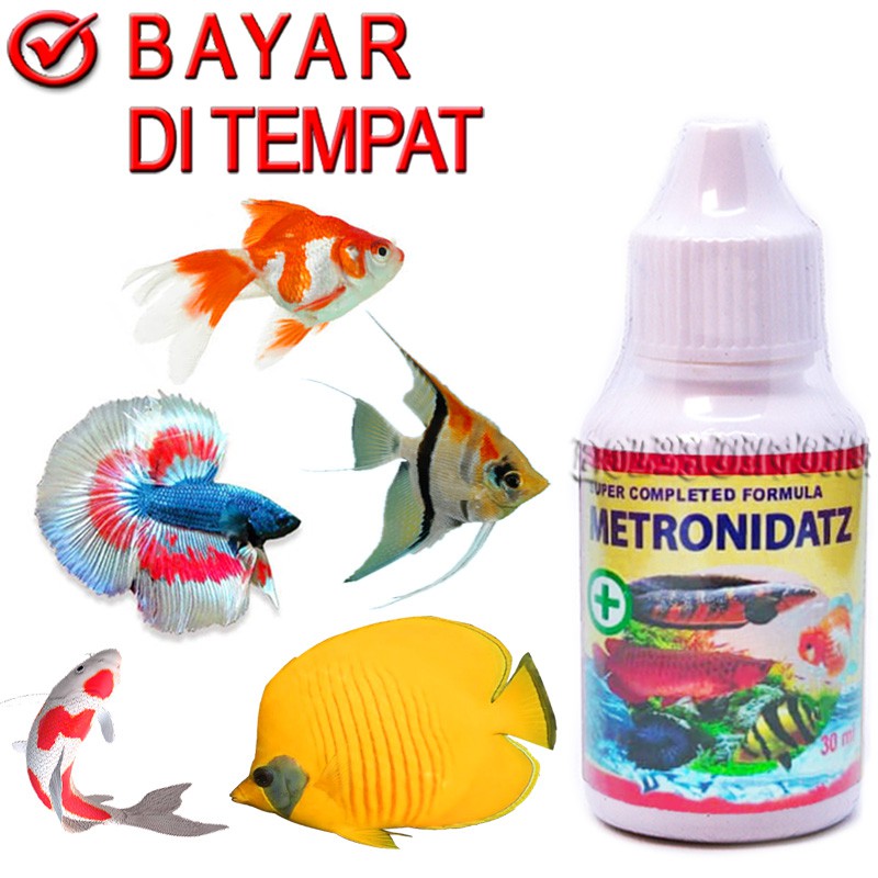 Jual METRONIDATZ OBAT IKAN HIAS SAKIT SIRIP RUSAK BINTIK PUTIH PERUT ...