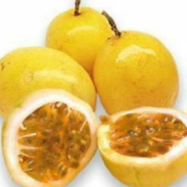 Jual Buah markisa kuning Mateng 100gr | Shopee Indonesia