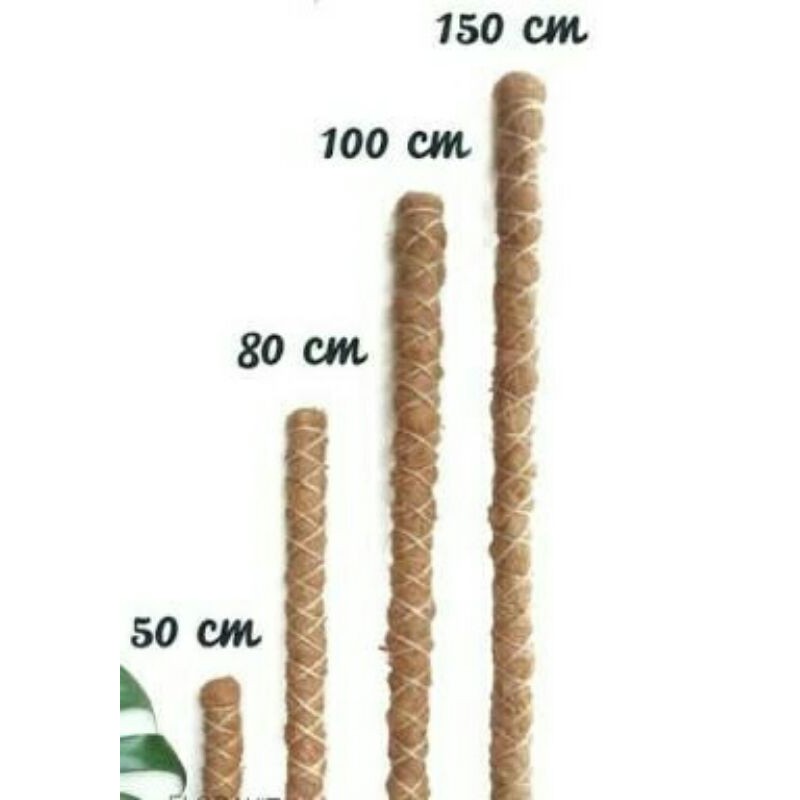 Jual turus tiang rambat penyangga tanaman hias rambat | Shopee Indonesia