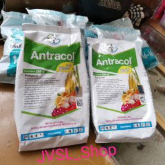 Jual Obat Fungisida untuk tanaman merk Antracol uk. 250 gr | Shopee ...