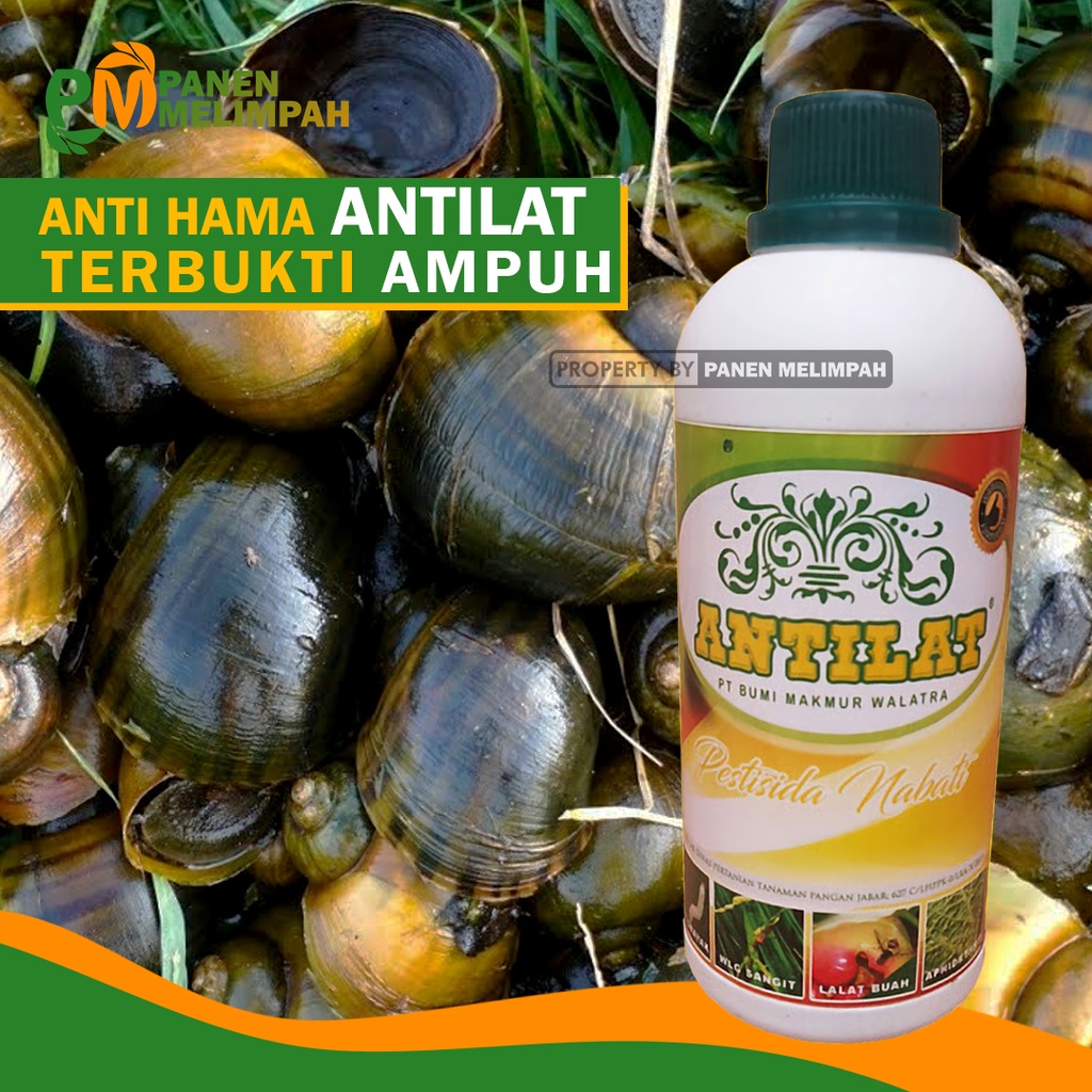 Jual Pupuk Pestisida Organik Cair Obat Anti Hama Keong Mas Nutrisi Pembasmi Hama Tanaman ANTILAT ...
