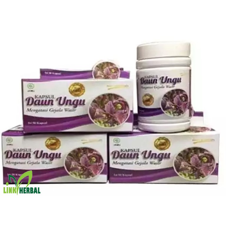 Jual Kapsul Daun Ungu Ash-Shihhah Untuk Gejala Wasir Isi 50 Kapsul ...