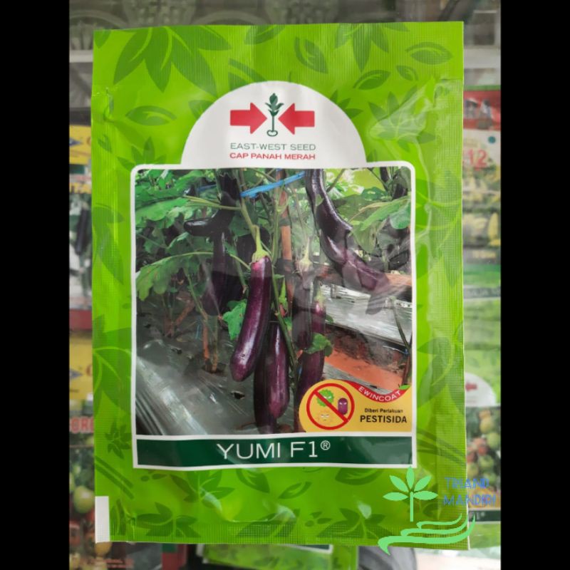 Jual Benih Terong Ungu YUMI F1 Cap Panah Merah isi 1100 butir | Shopee Indonesia
