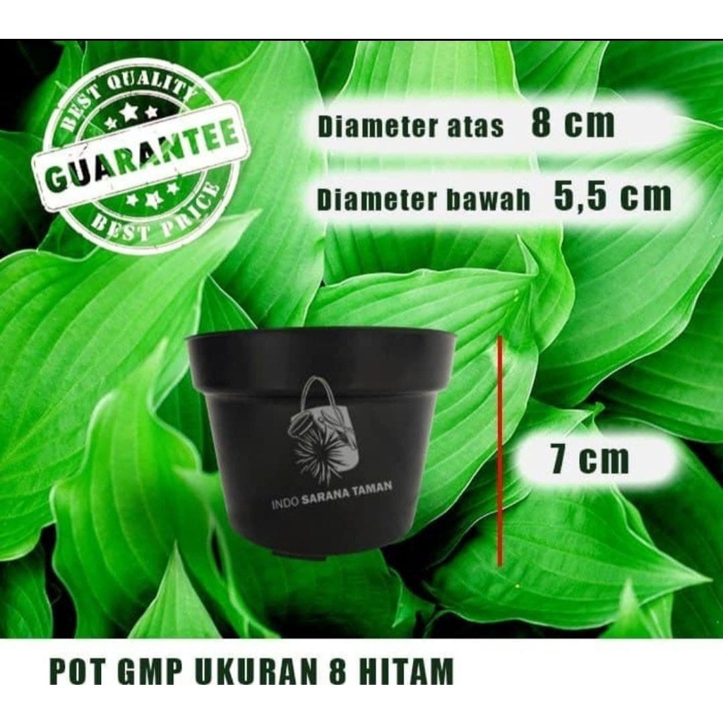 Jual POT HITAM POLOS UKURAN 08 | Pot Kecil | Pot Mini | Pot Polos | Pot ...