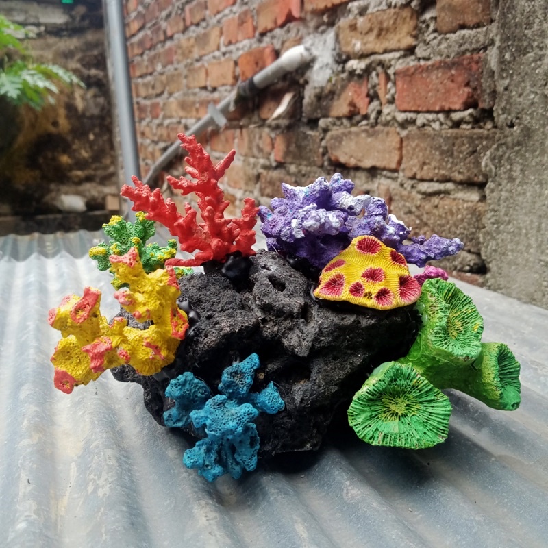 Jual BATU KARANG RANGKAI HIASAN AQUARIUM UKURAN L / TRUMBU KARANG ORNAMEN BATU KARANG LAUT ASLI ...