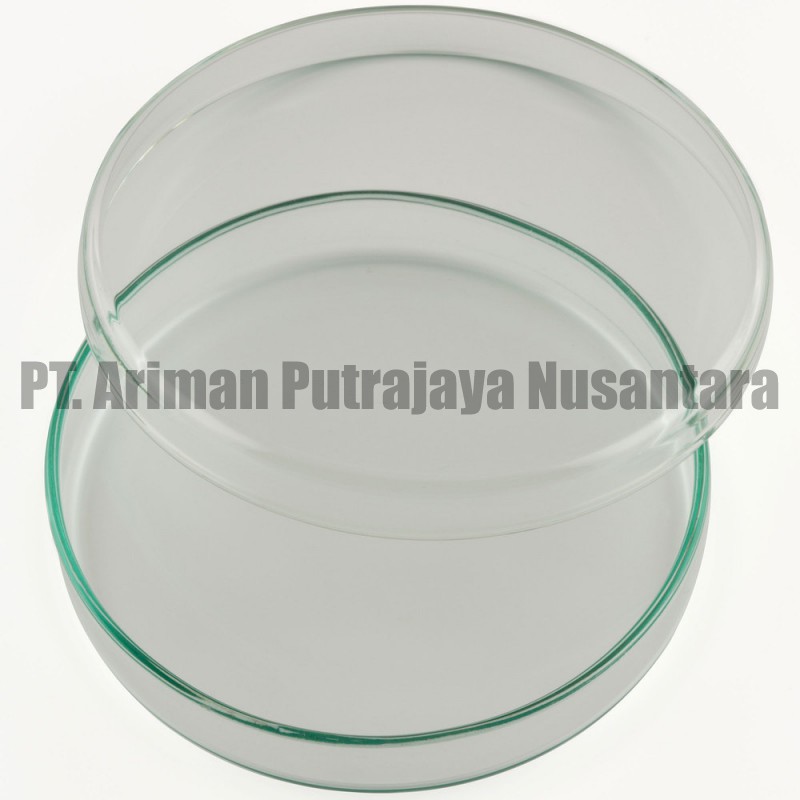 Jual Petridish Kaca / Cawan Petri 15 x 60 (6cm) | Shopee Indonesia