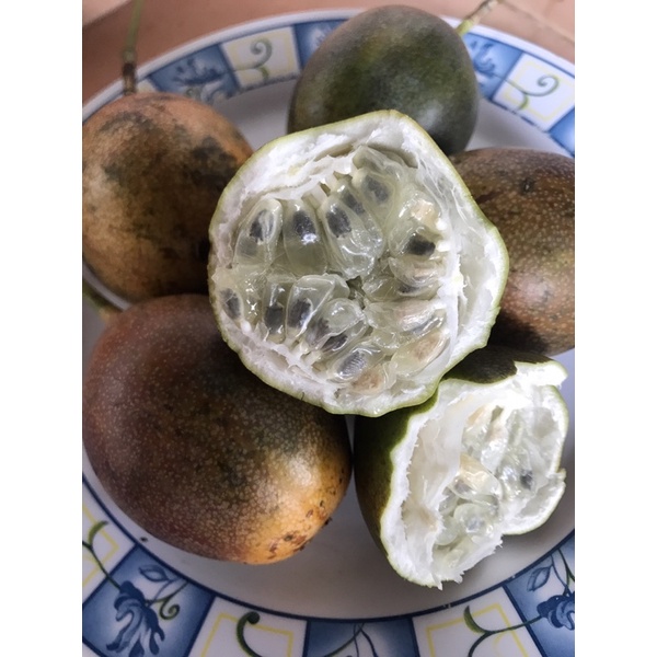 Jual Markisa Bali / Anggur Hutan / Konyal / Manis | Shopee Indonesia