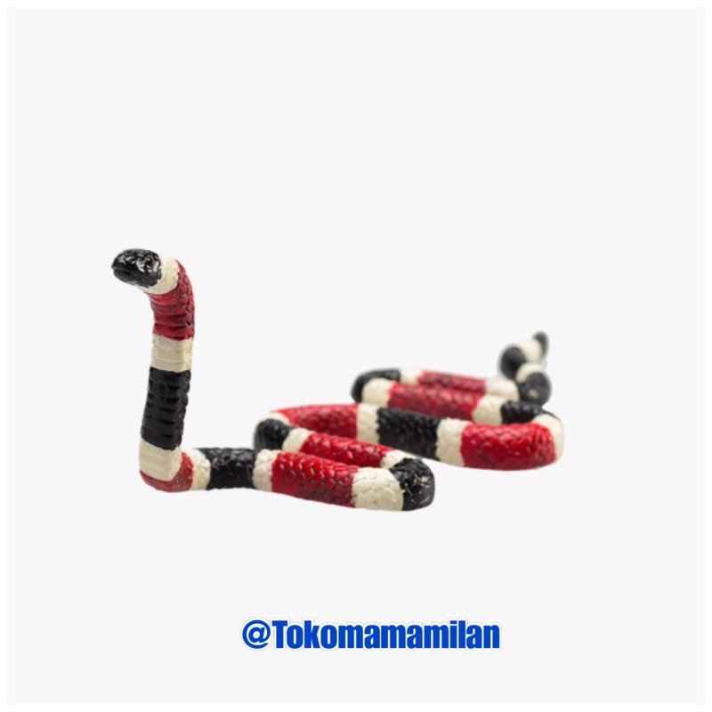 Jual Mojo | Mojo Fun Animal Figurine Coral Snake / Ular – Wildlife ...