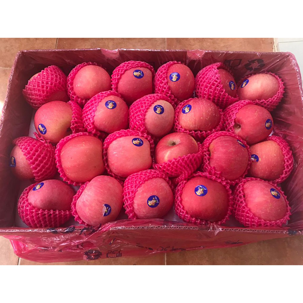 Jual BUAH APEL FUJI 1 KG [RUMAH BUAH] | Shopee Indonesia