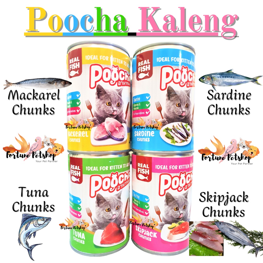 Jual POOCHA 400GR | PooCha Kaleng | All Life Stage - For Kitten And ...