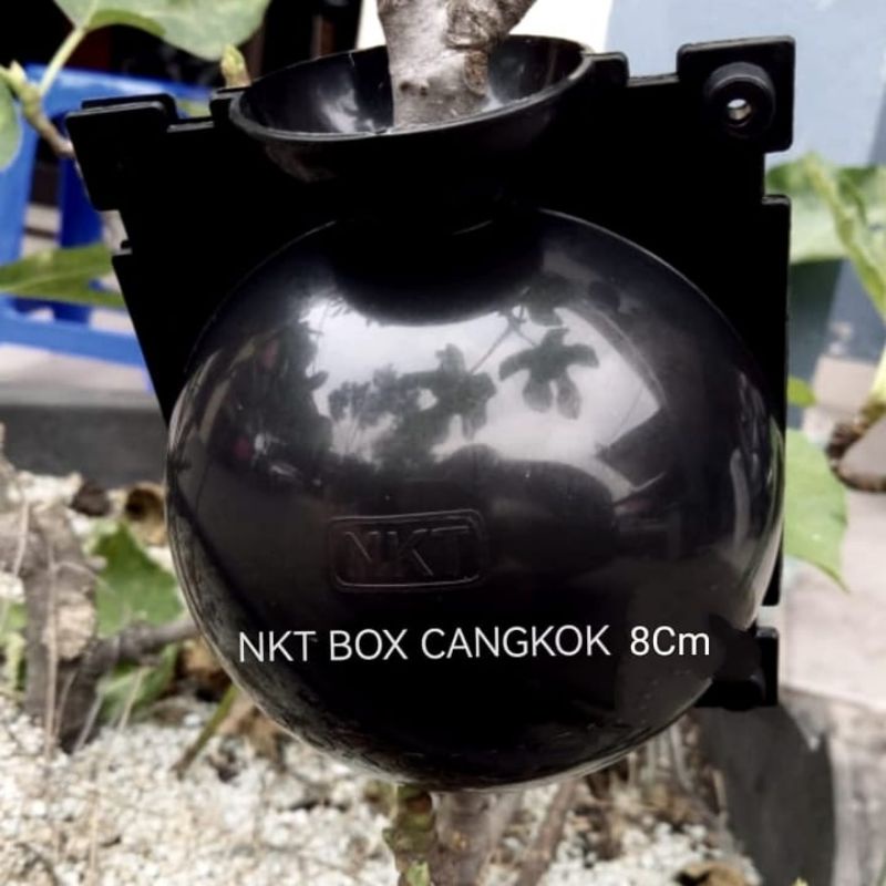 Jual HITAM Ukuran 8cm rooting bulat HITAM alat bantu cangkok tanaman ...